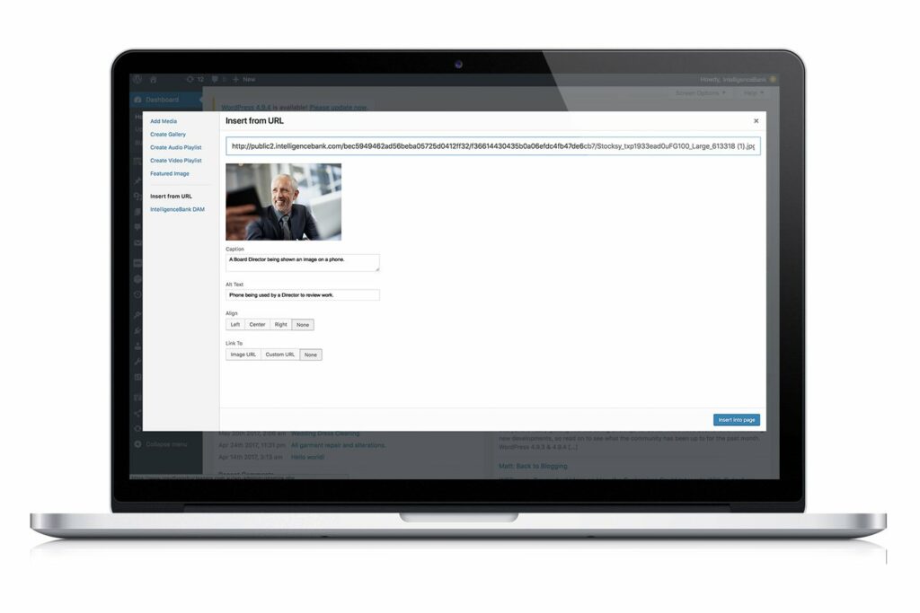 Introducing Our Wordpress Connector Intelligencebank