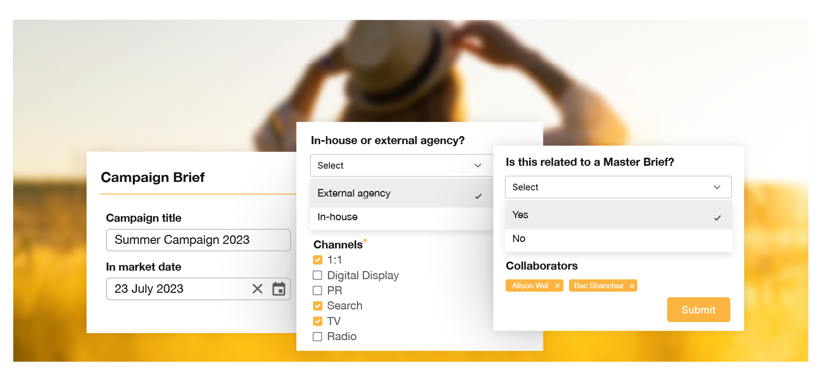 Briefs & Forms - IntelligenceBank
